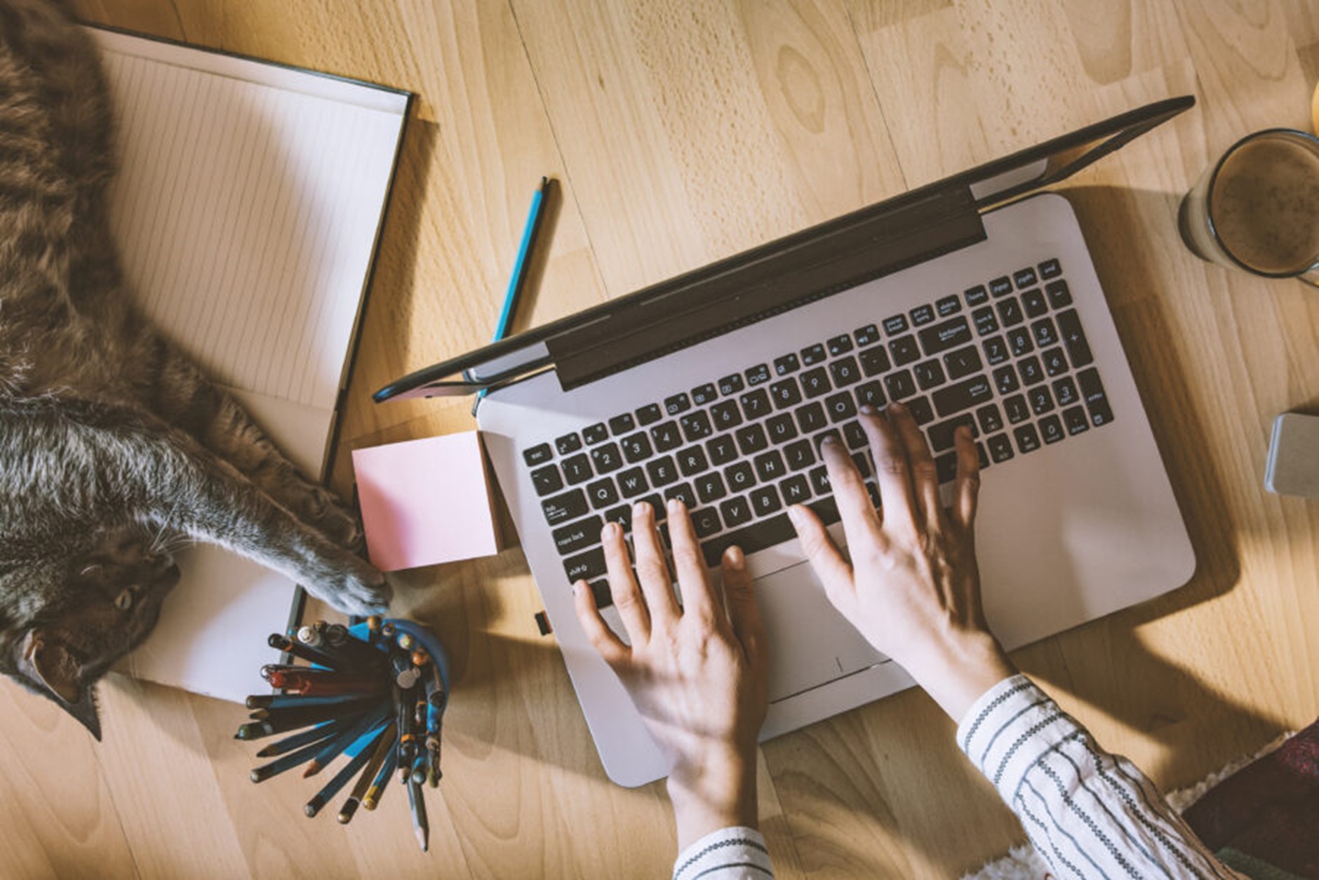 My DECIPHer work taster - DECIPHer